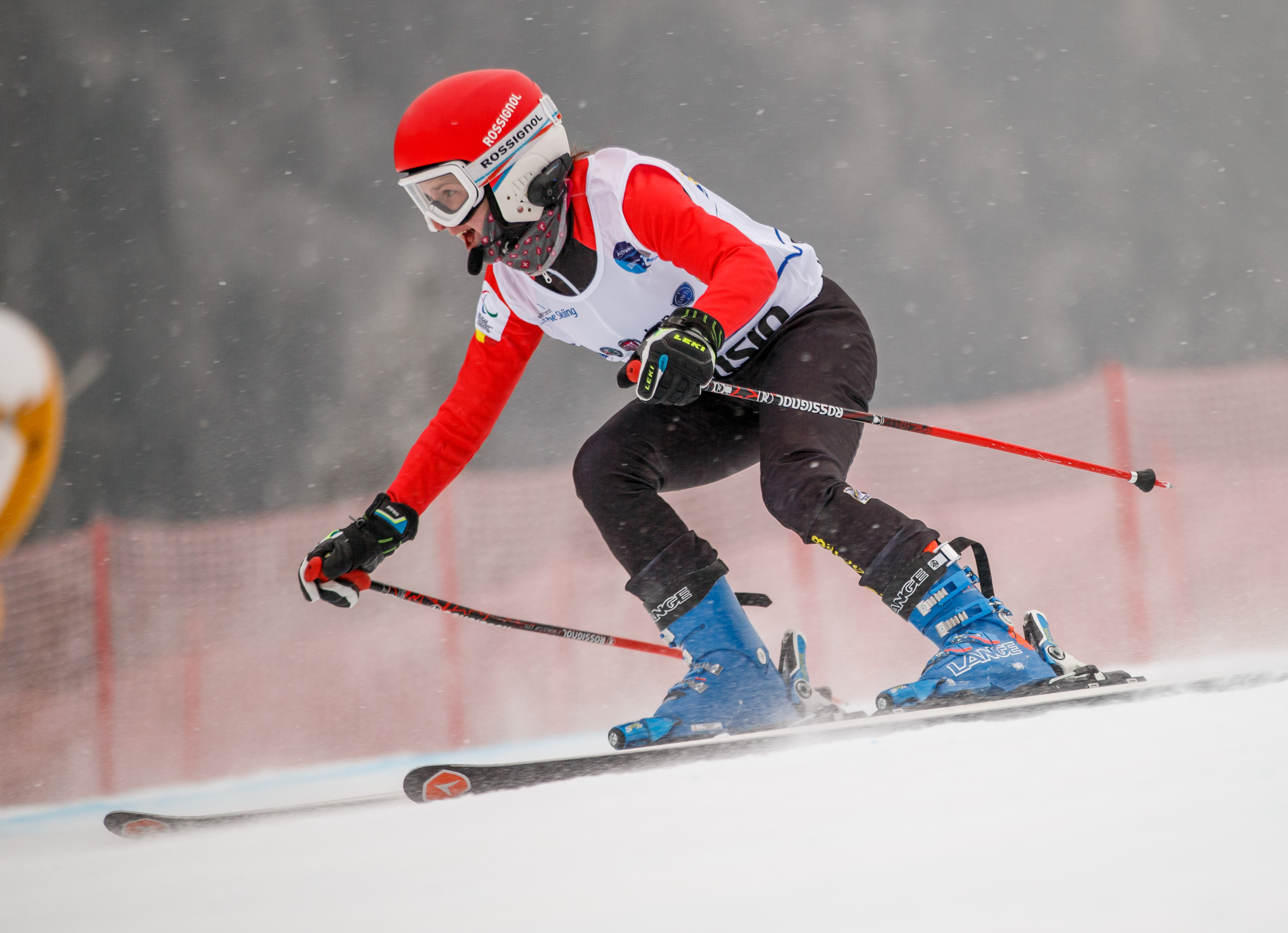 World Para Alpine Skiing Championships Tarvisio 2017 | Paralympic Team ...