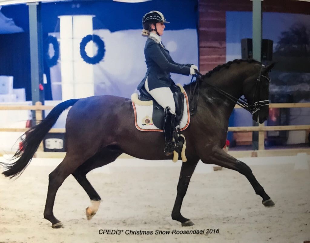 Manon Claeys grijpt zilver op het EK para-equestrian | Paralympic Team ...